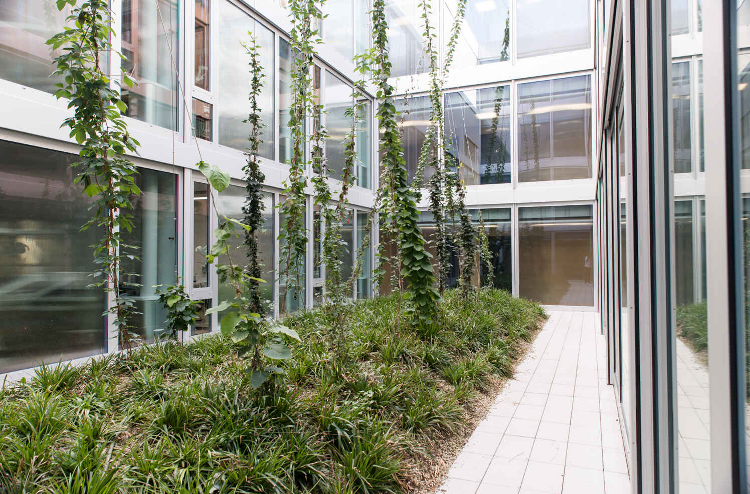 Universitäres Zentrum für Zahnmedizin Basel UZB – Fontana ...
